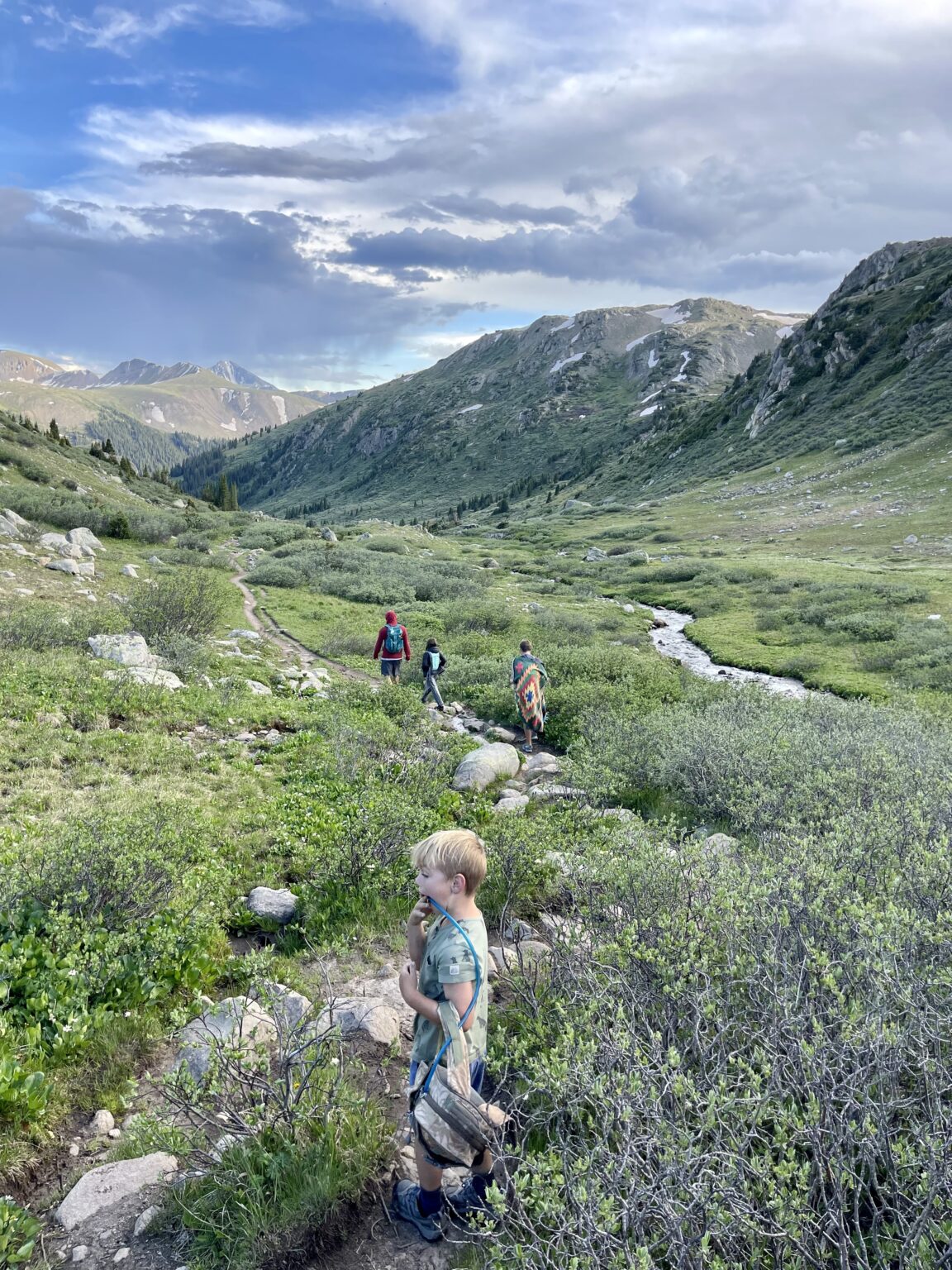 Take A Scenic Drive On The Stunning Independence Pass | Lahr's With ...